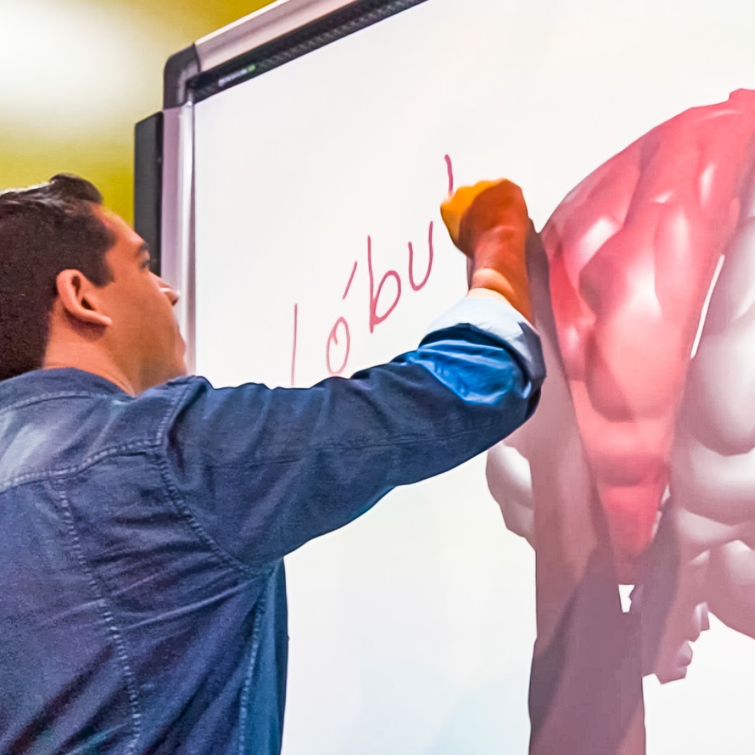 O que é e como funciona a tela interativa touch screen? - MOVPLAN